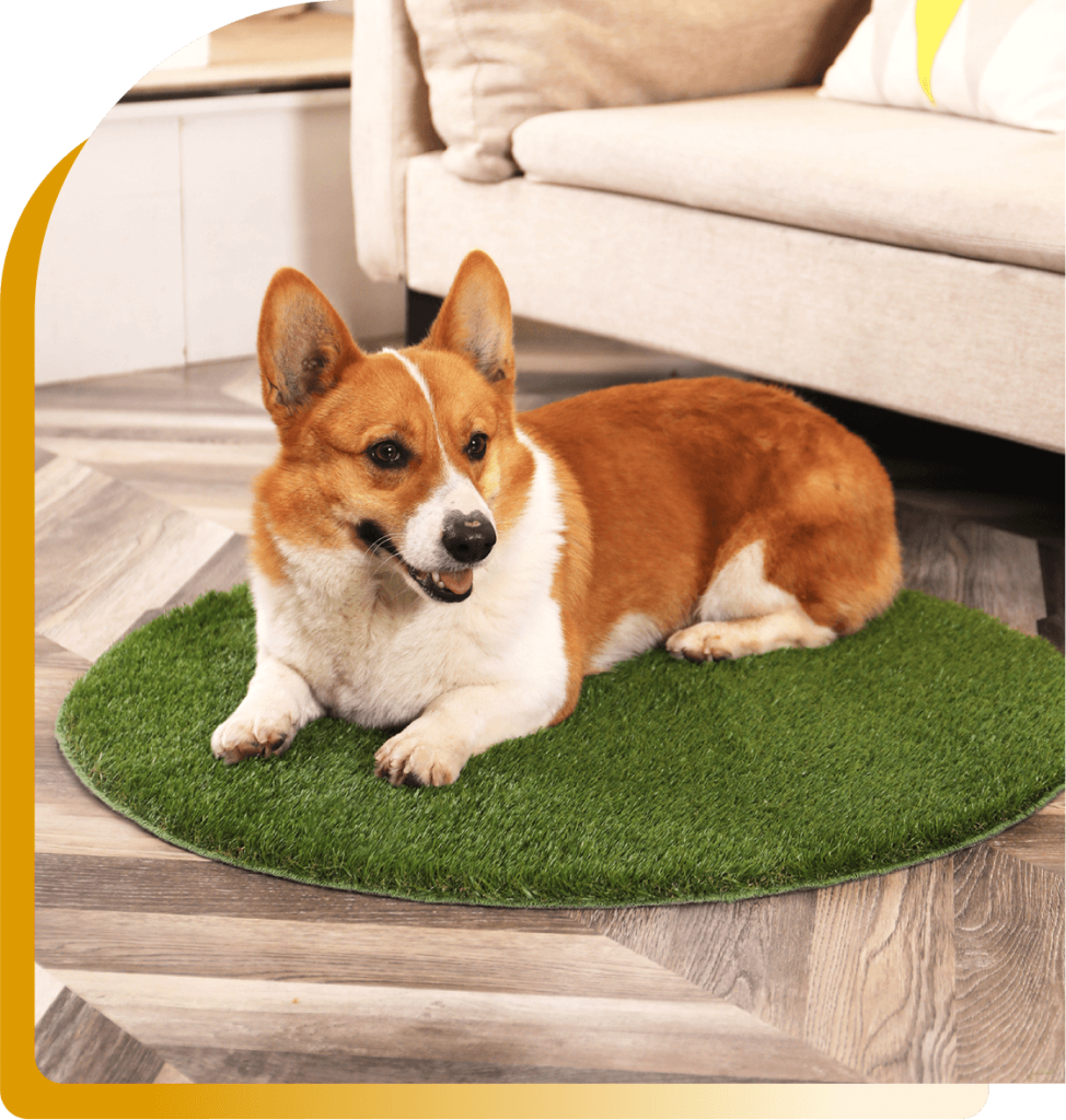 Artificial Turf Mat│Outdoor Mat & Indoor Mat- CCGrass