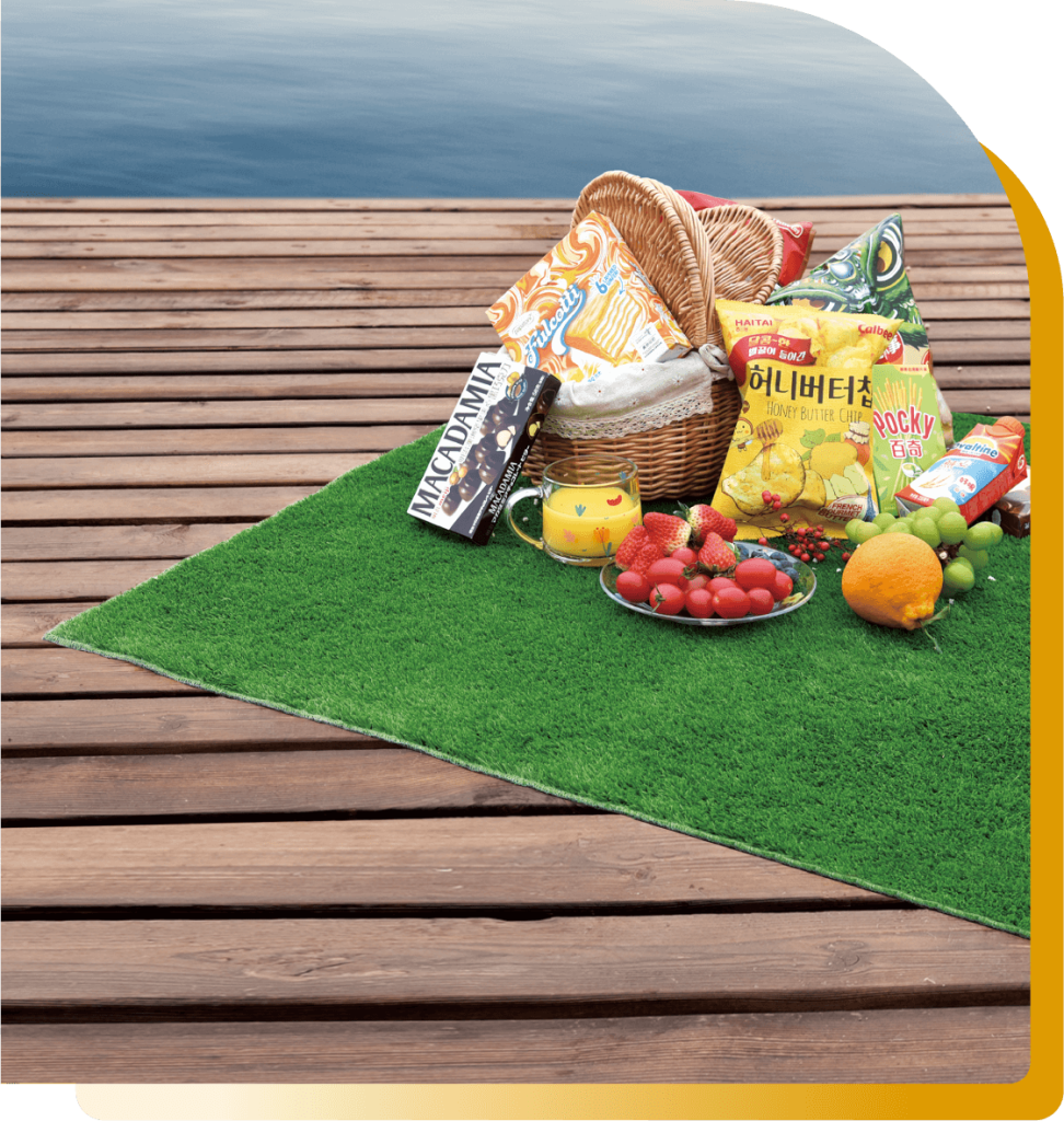 Artificial Turf Mat│Outdoor Mat & Indoor Mat- CCGrass