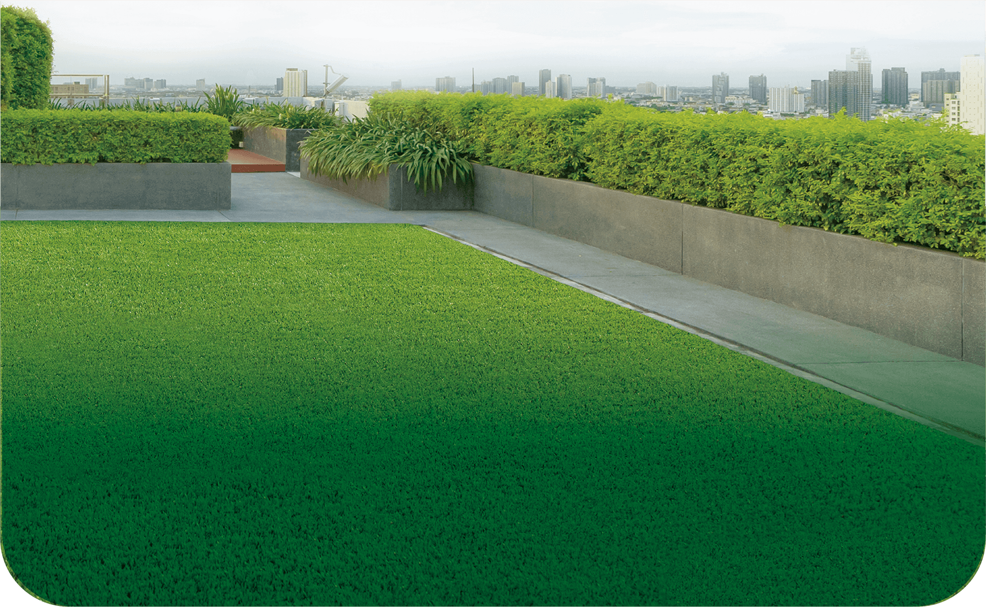 Roof Turf | Turn Your Roof into Stylish Garden - CCGrass