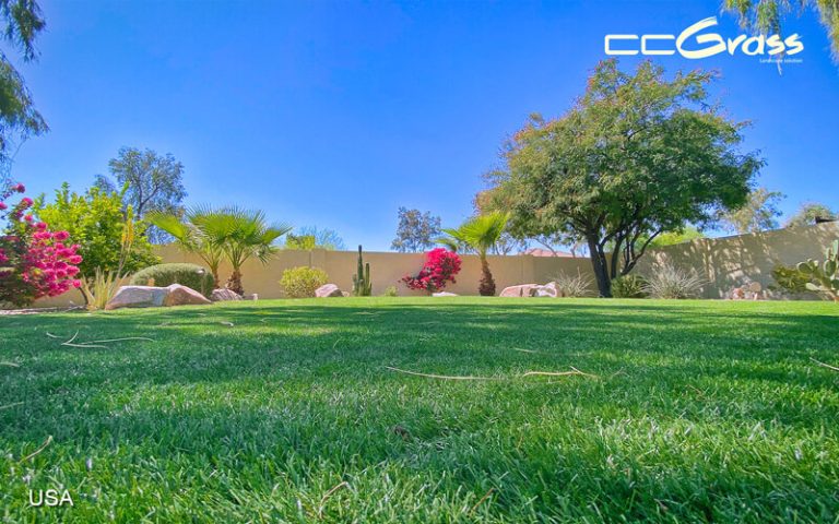 12+ Stunning Artificial Grass Landscaping Ideas to Transform Your Space ...